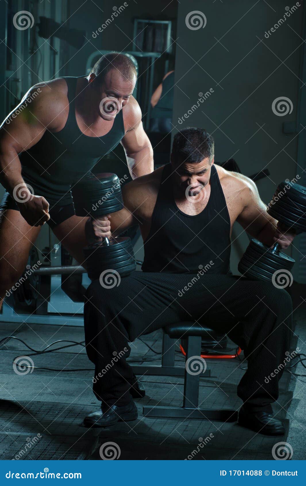 Portrait Of Bodybuilders Stock Photography | CartoonDealer.com #17240006