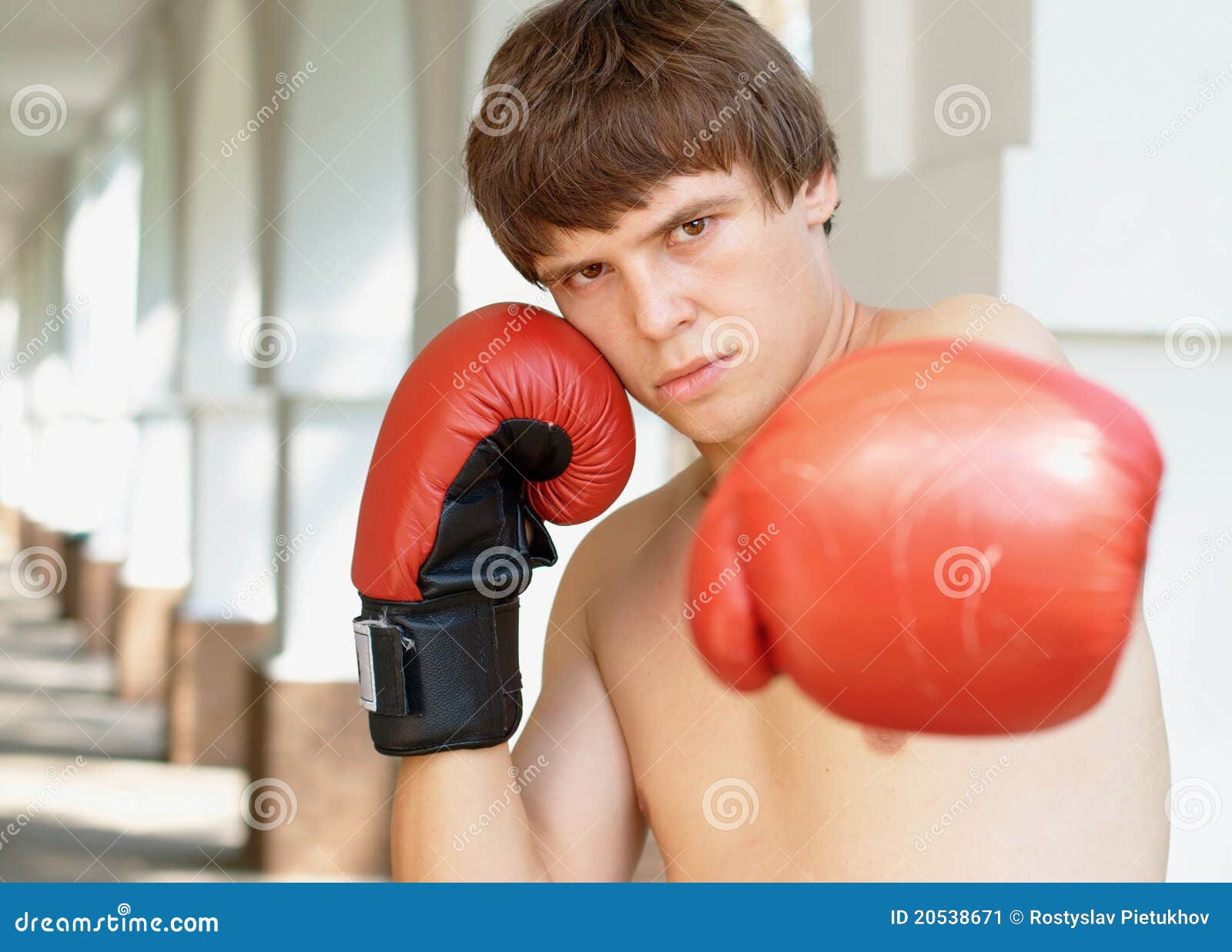Portrait of a boxer stock image. Image of adult, competition - 20538671