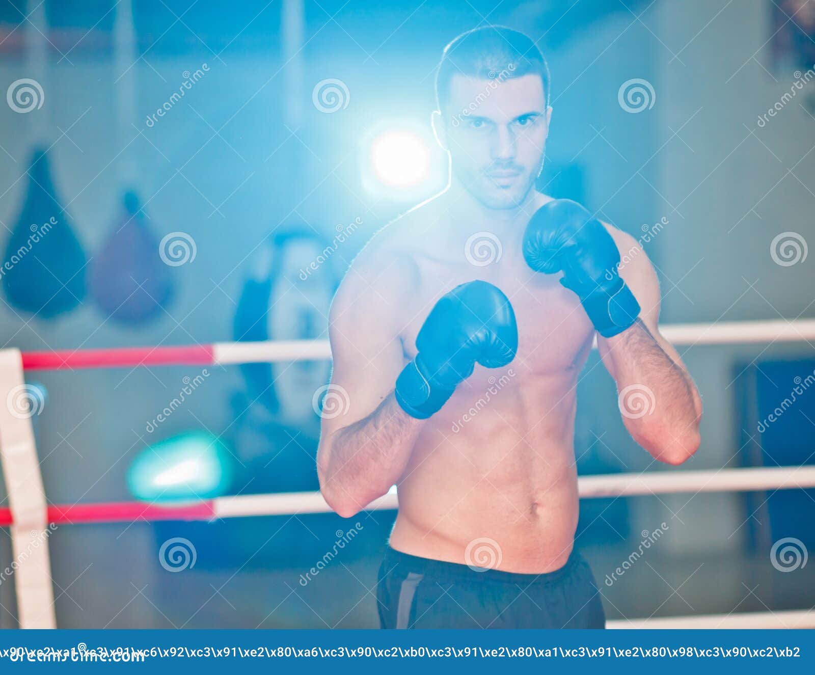 Portrait of boxer stock image. Image of combat, energy - 142967277