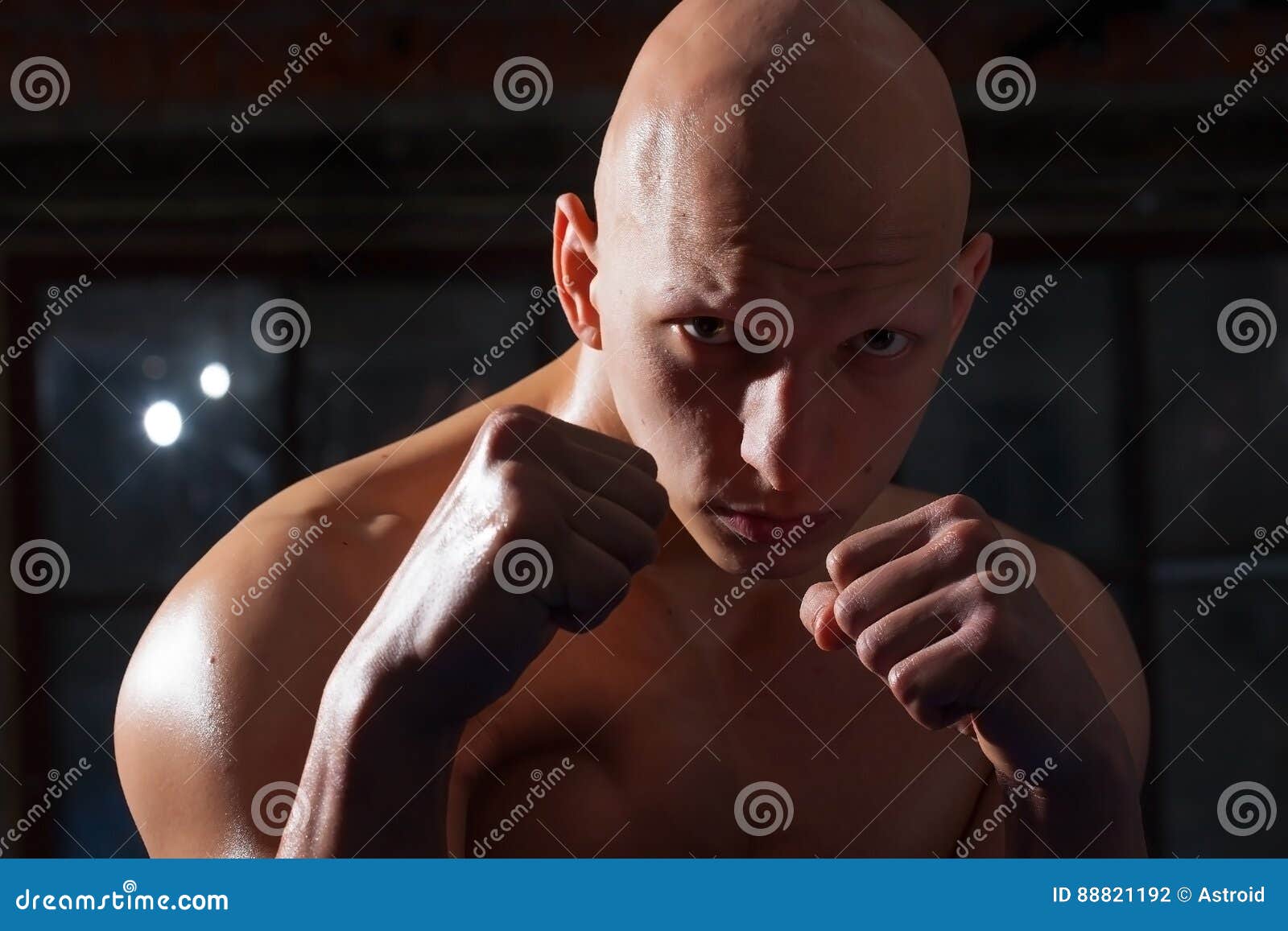 Portrait of a boxer stock photo. Image of hairless, hitting - 88821192