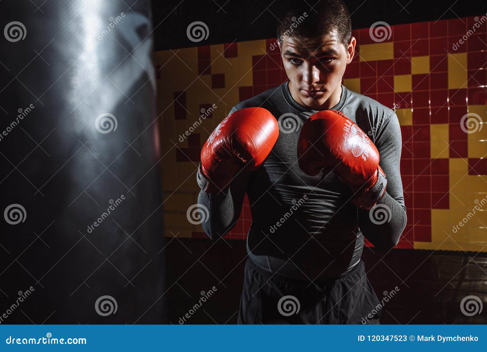 Portrait of a Boxer in the Gym, a Man Looks Aggressive Stock Image ...