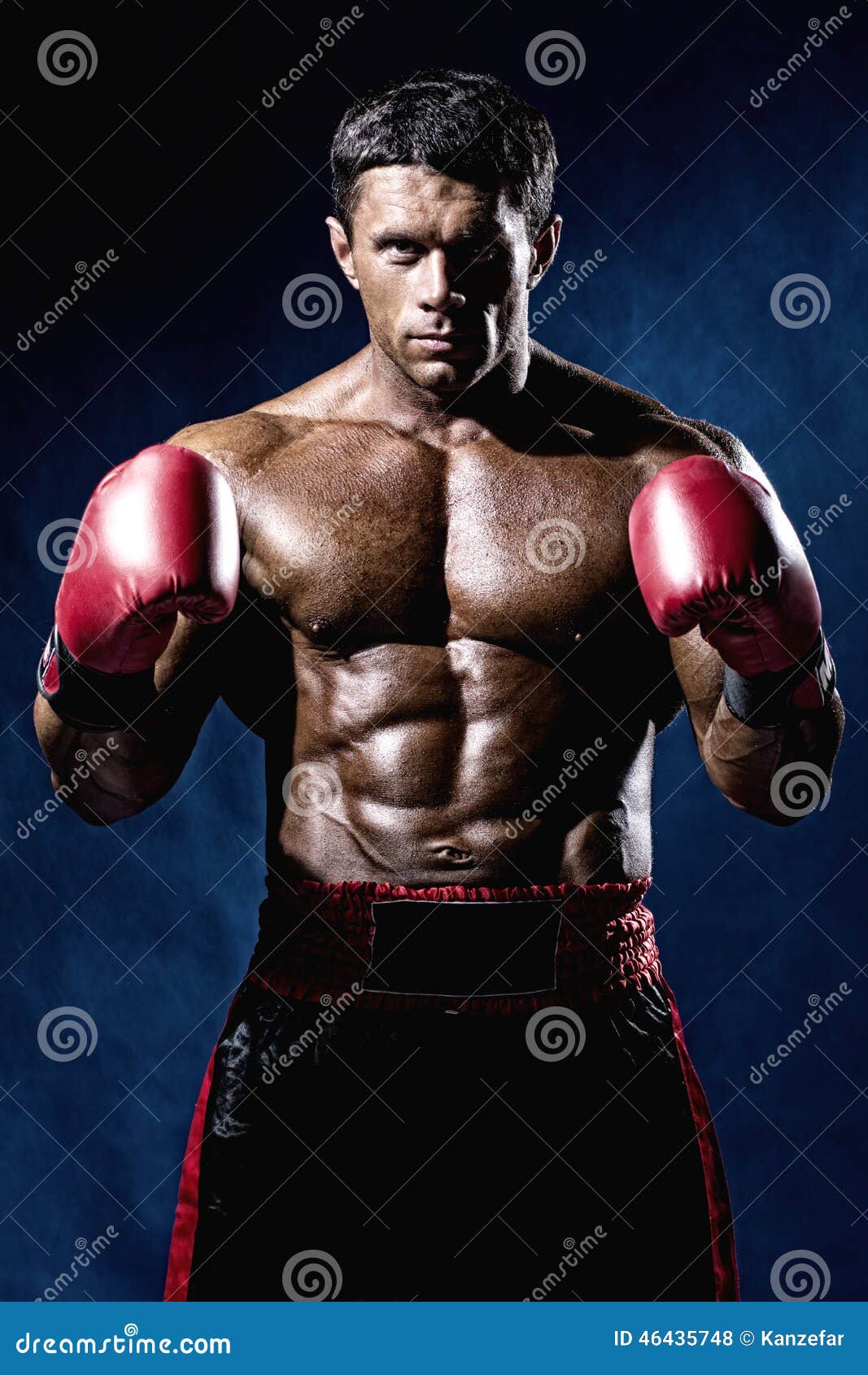 Portrait of Boxer Posing in Studio in Gloves Stock Photo - Image of ...