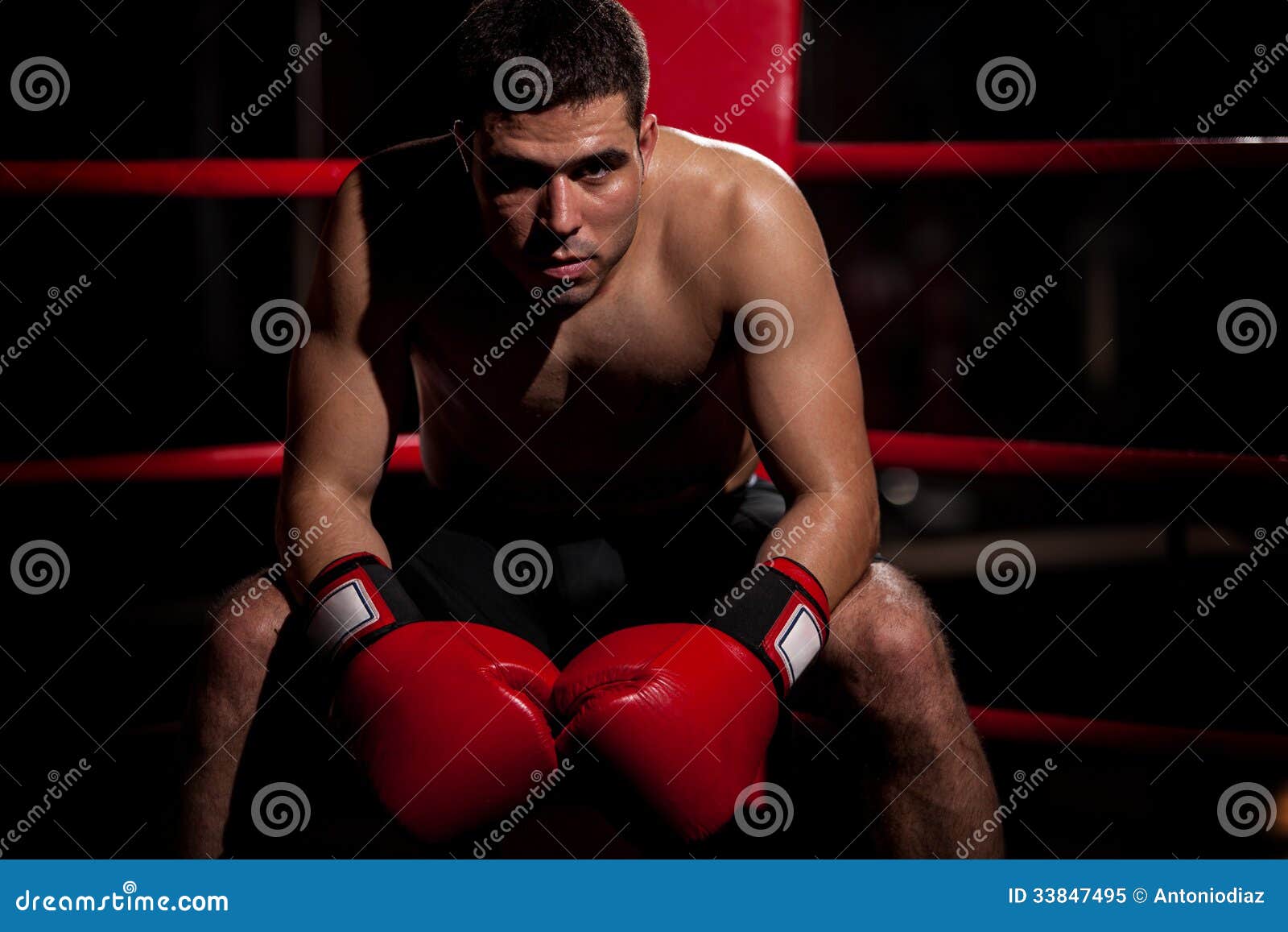 Portrait of a Boxer in a Ring Stock Image - Image of exercise, hispanic ...
