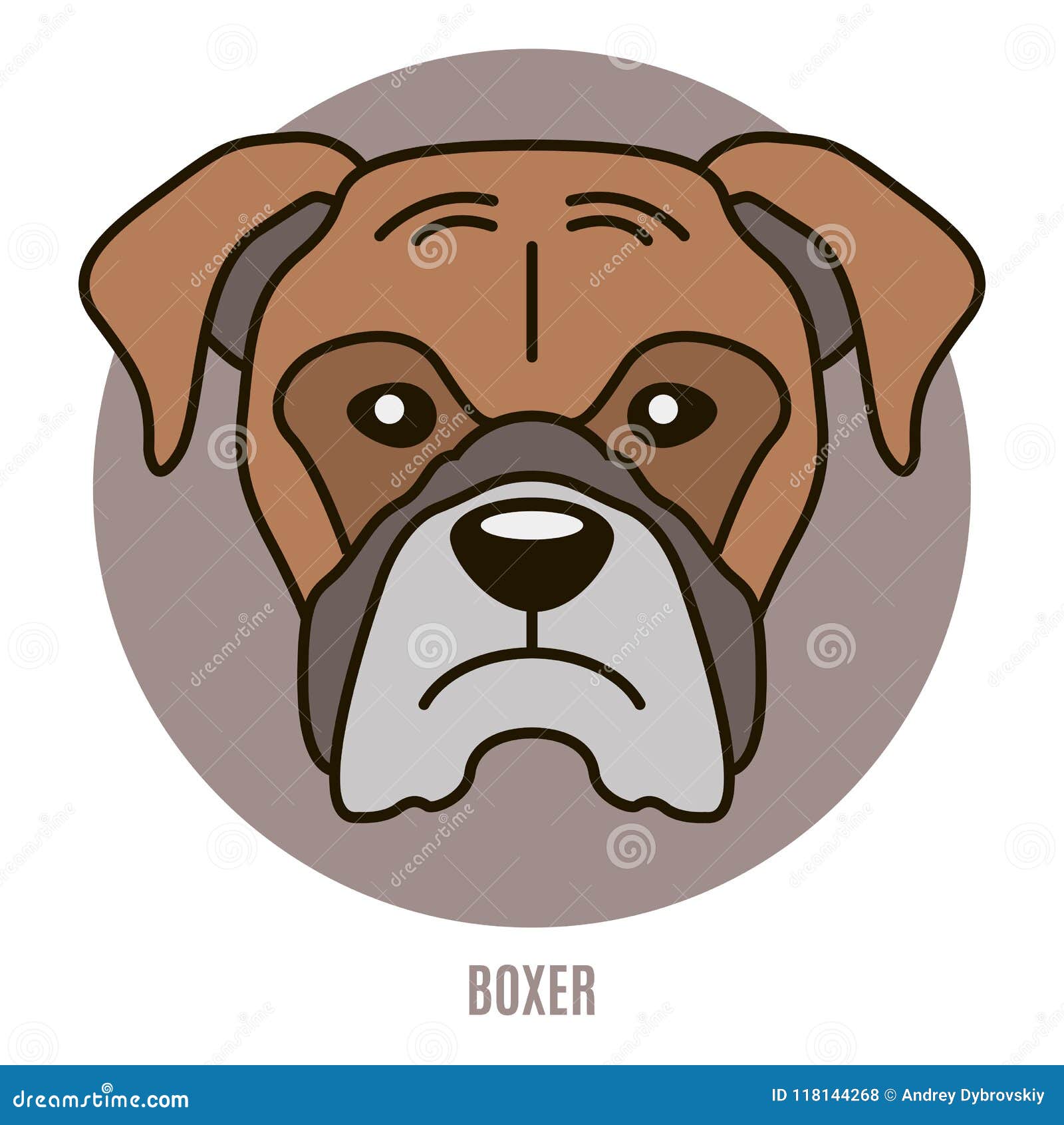 Portrait of Boxer. Vector Illustration Stock Vector - Illustration of ...