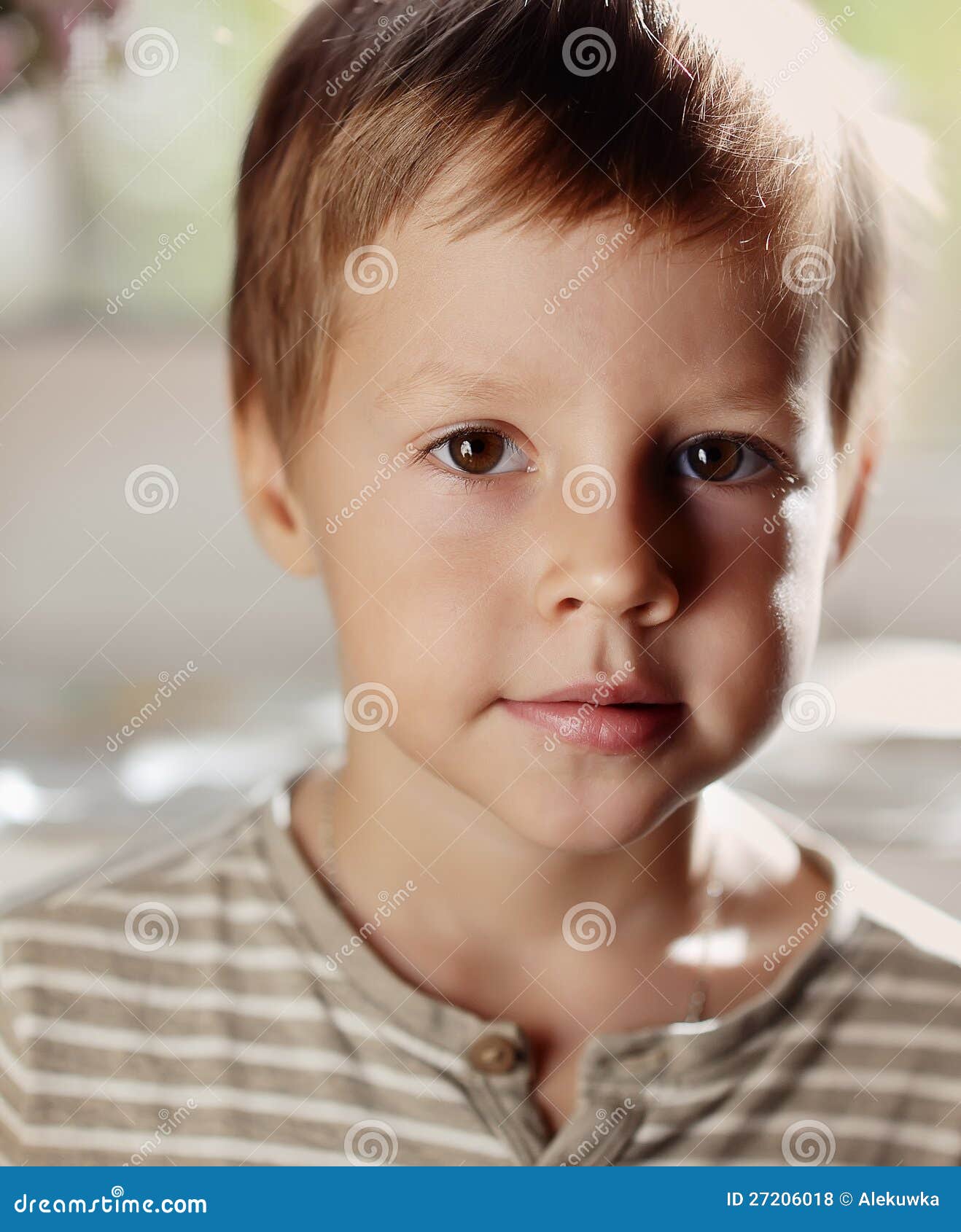 Portrait of a boy stock photo. Image of funny, cheerful - 27206018
