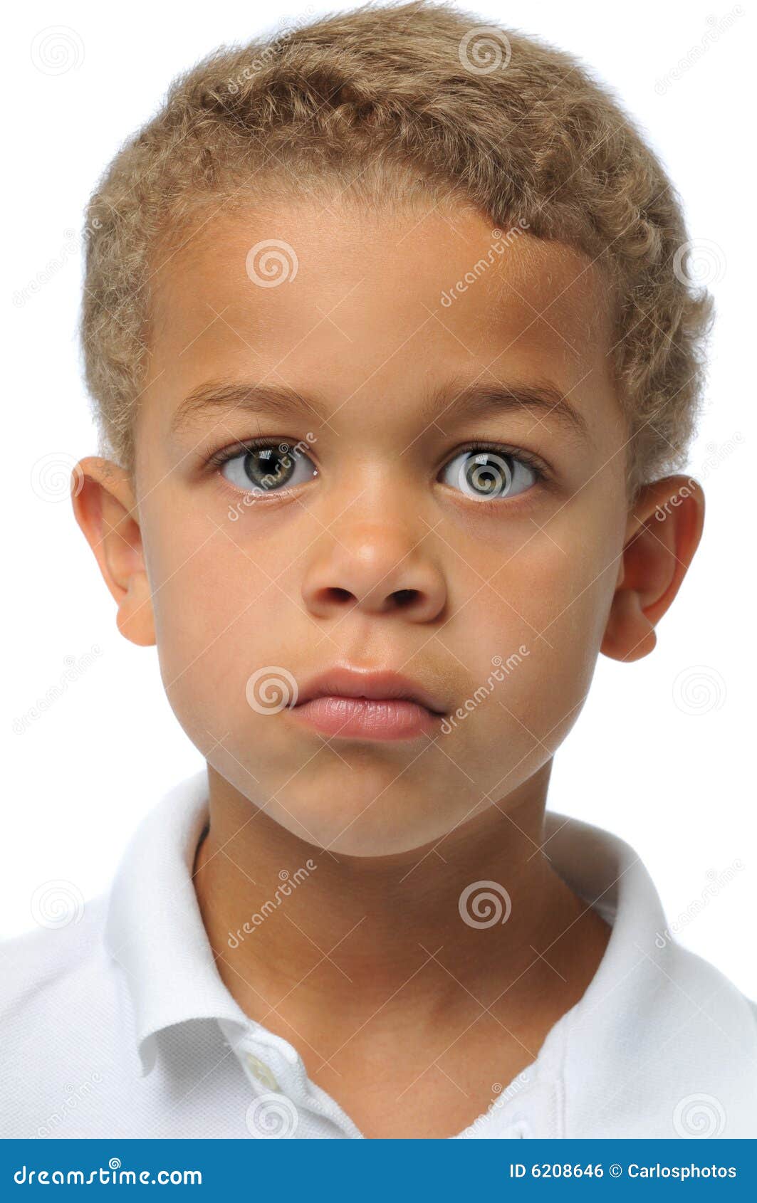 Portrait of boy stock photo. Image of white, portrait - 6208646