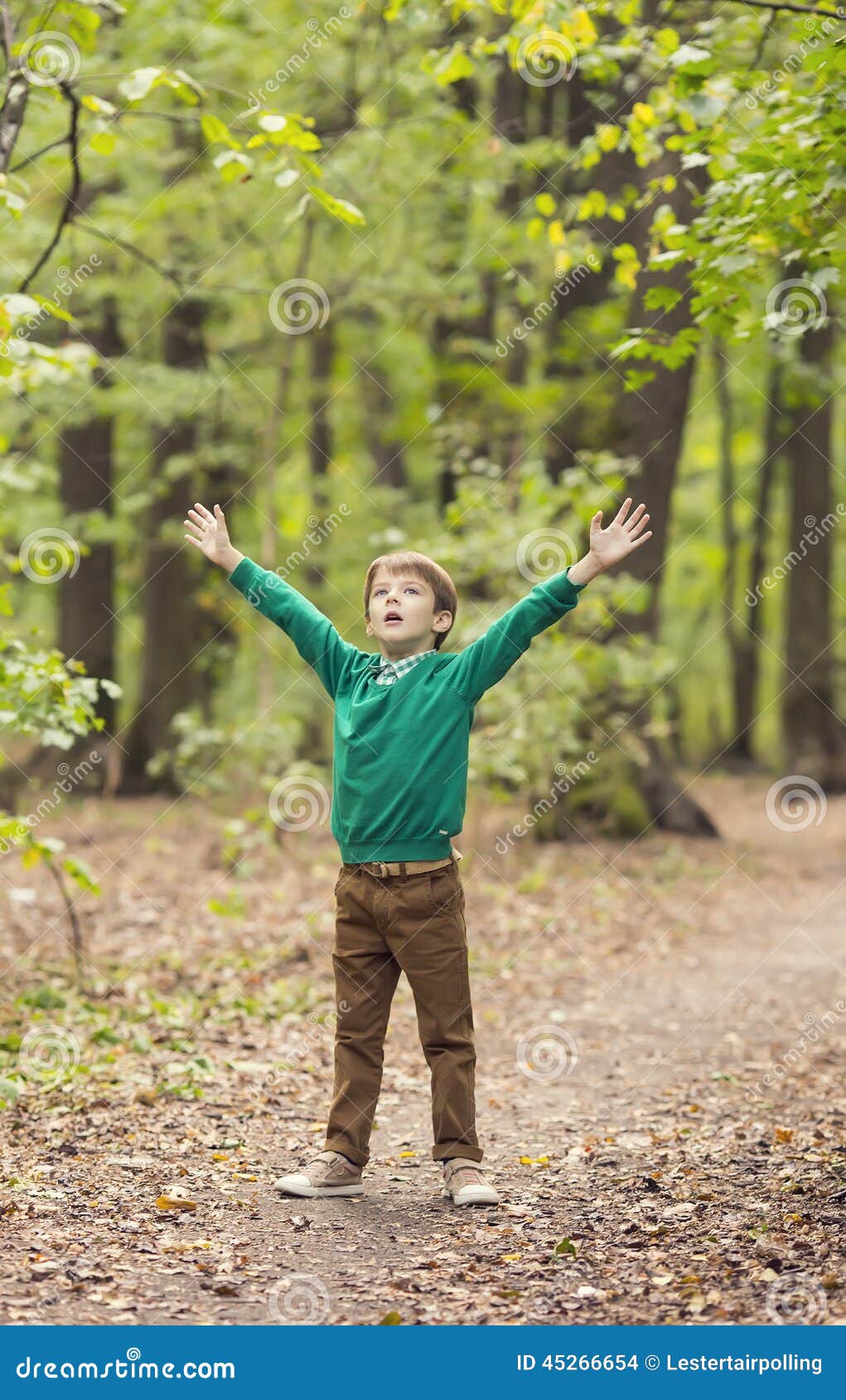 Portrait of a boy stock photo. Image of meadow, male - 45266654