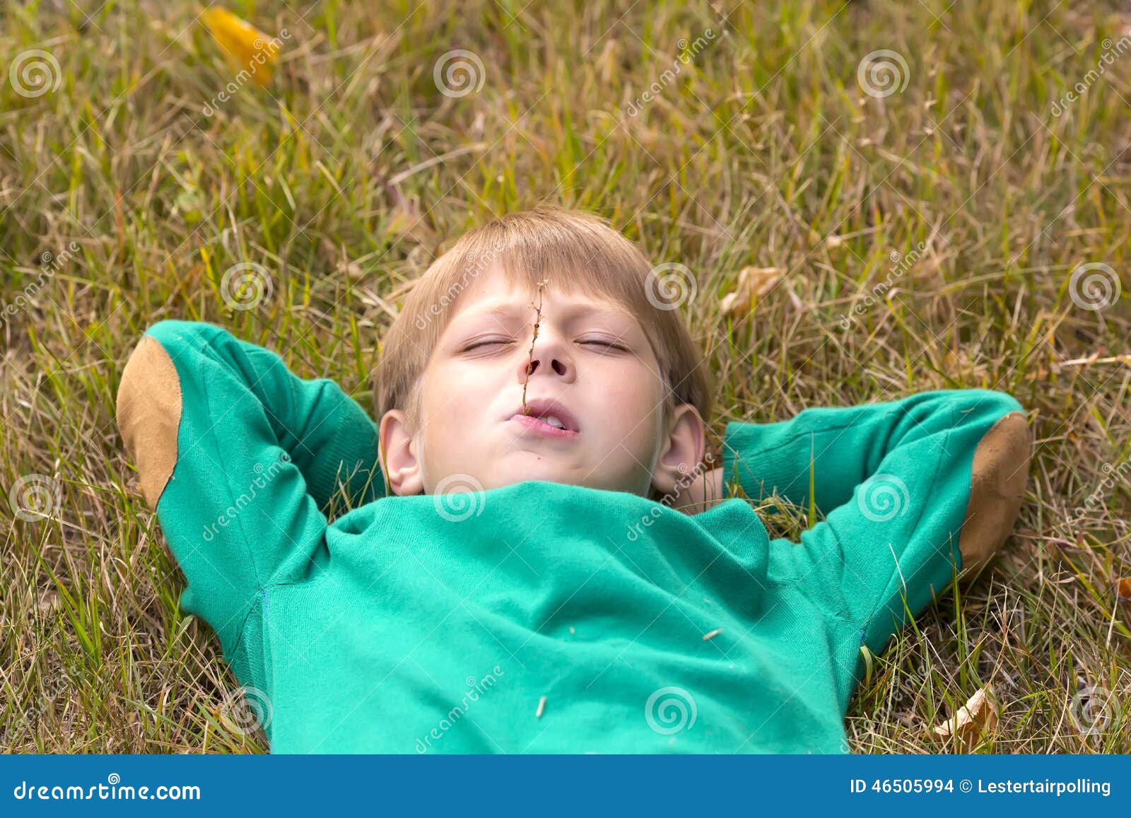 Portrait of a boy stock photo. Image of park, male, nature - 46505994