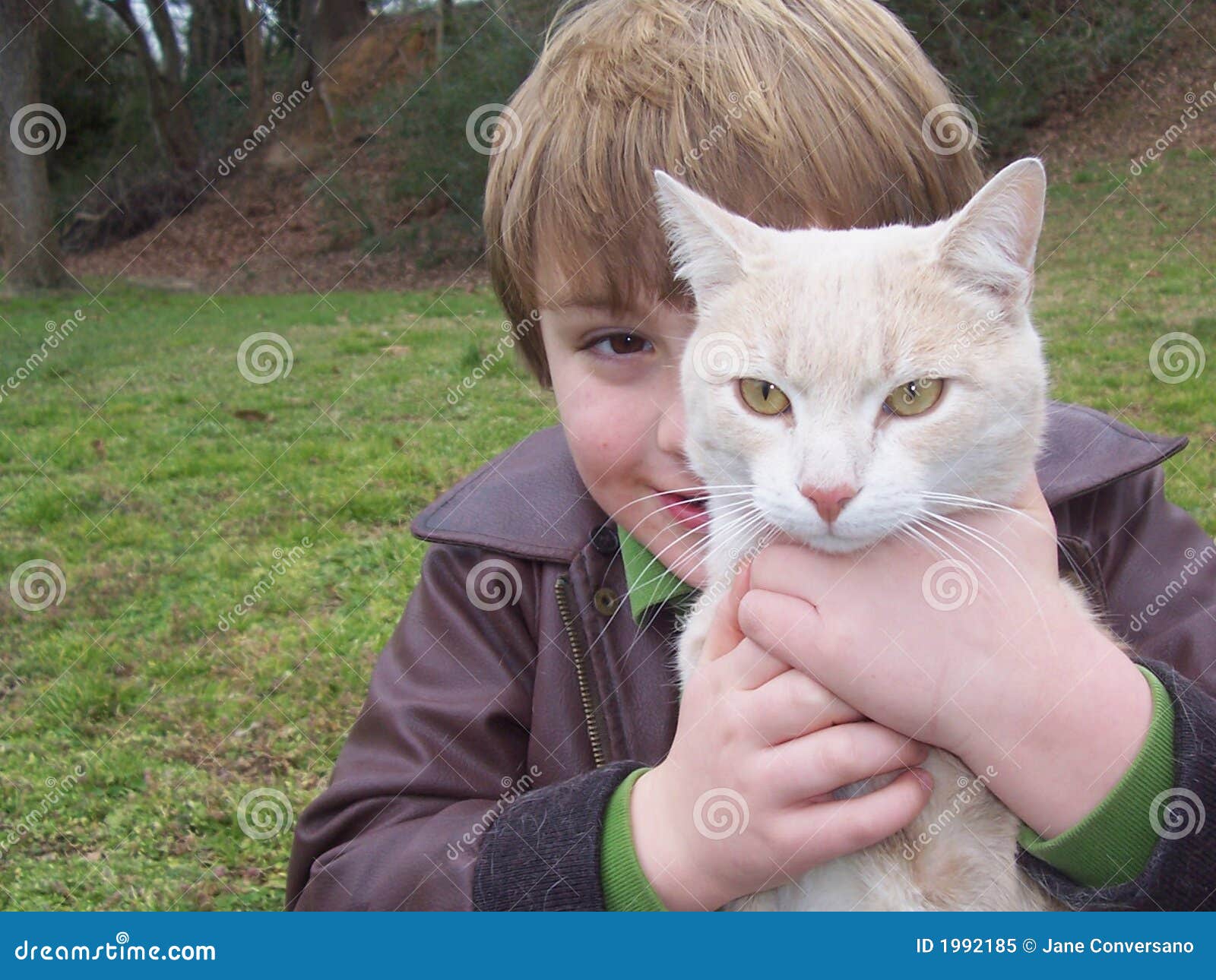 Portrait of boy behind cat stock image. Image of feline - 1992185