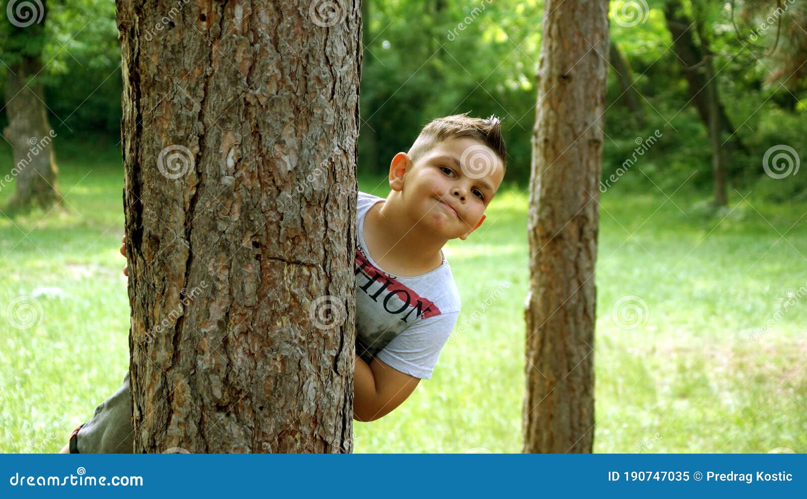 Portrait of a Boy Behind a Tree Stock Image - Image of boys, nature ...
