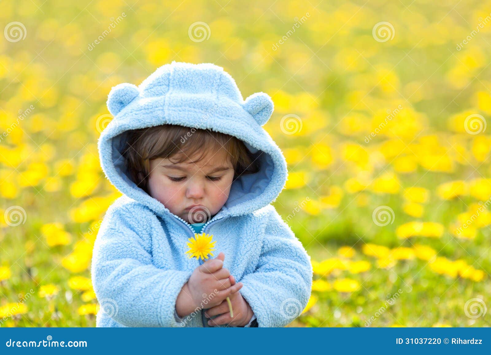 Portrait of a Boy with Flower Stock Photo - Image of leaf, colorful ...