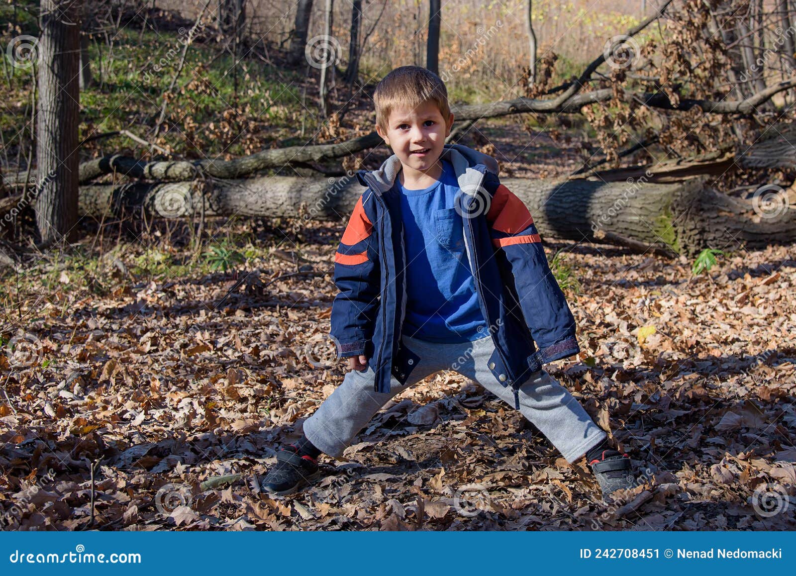 Portrait of Boy in the Forest Stock Image - Image of nature ...