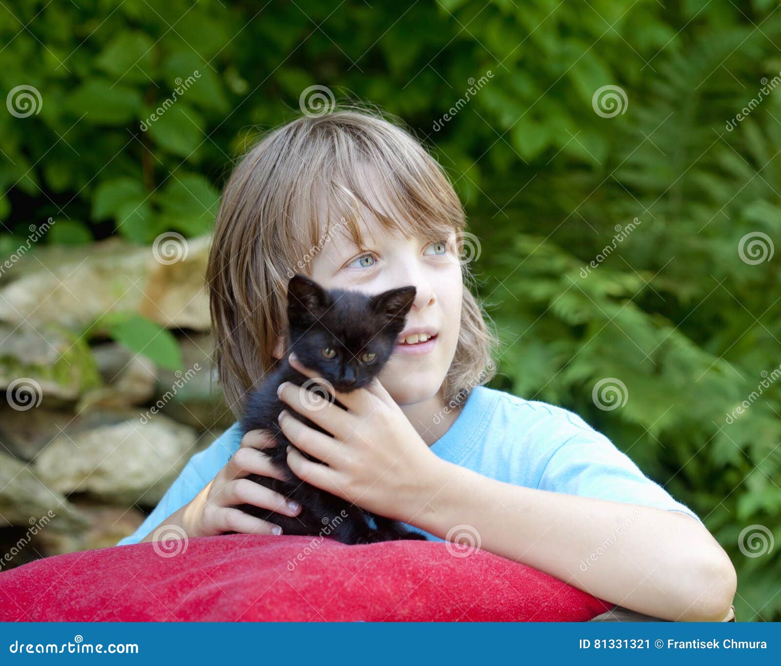 Portrait of a Boy Holding a Kitten Stock Image - Image of outside ...