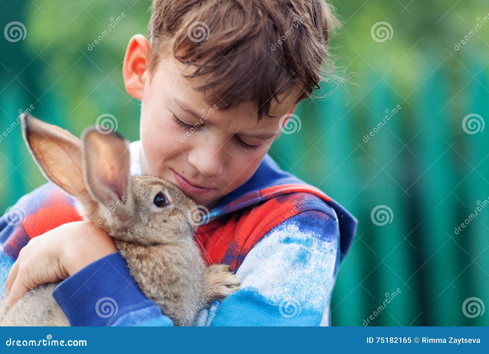 Portrait of Boy, he is Holding Rabbit Stock Image - Image of nature ...
