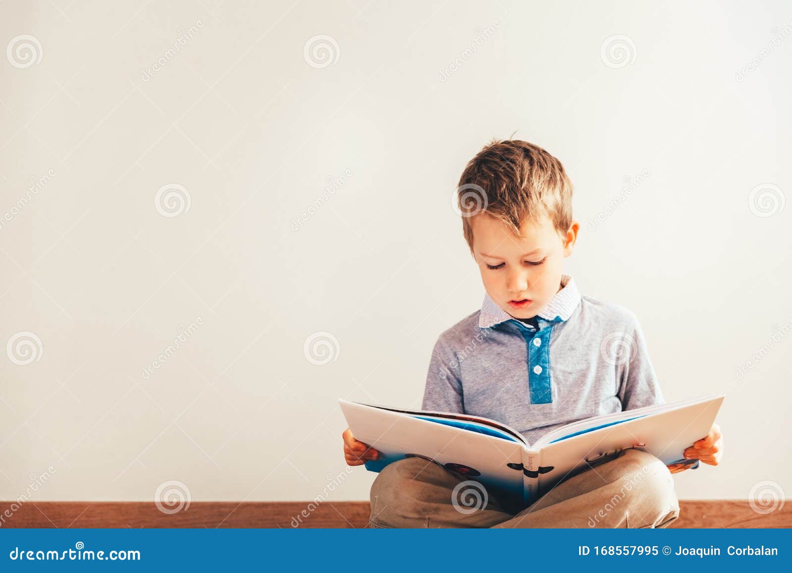 Portrait of Boy Interested in Reading a Book Stock Image - Image of ...
