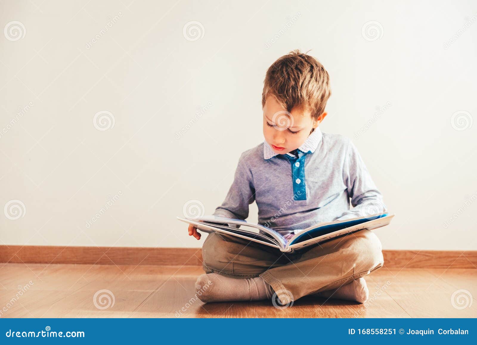 Portrait of Boy Interested in Reading a Book Stock Image - Image of ...