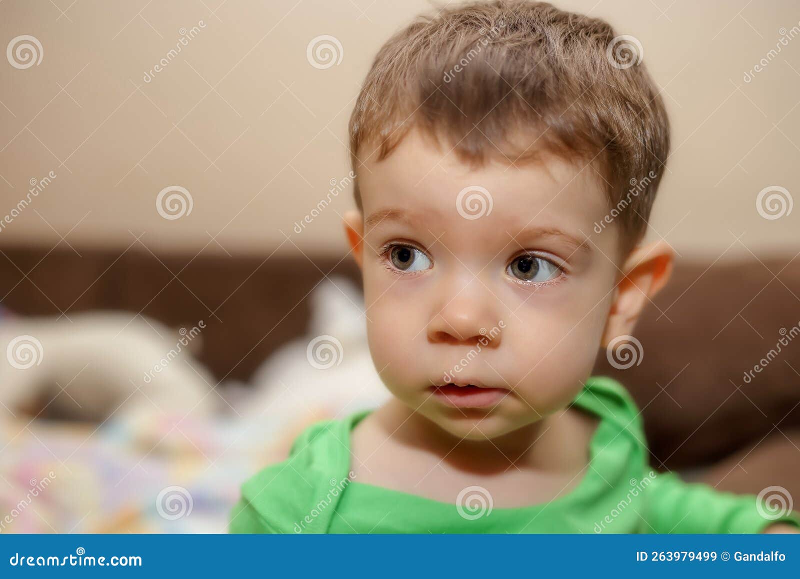 Portrait of a Boy and Looking Somewhere into the Distance Stock Image ...