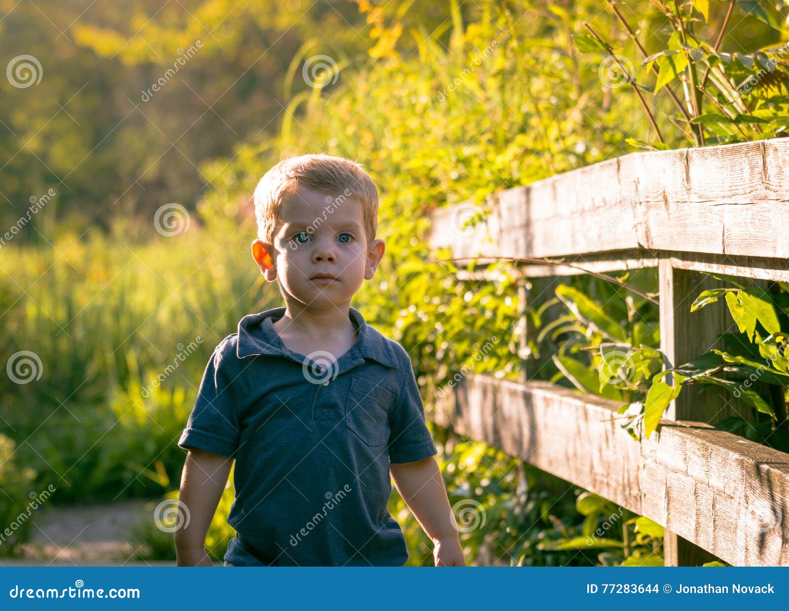 Portrait of Boy Outdoors stock photo. Image of young - 77283644