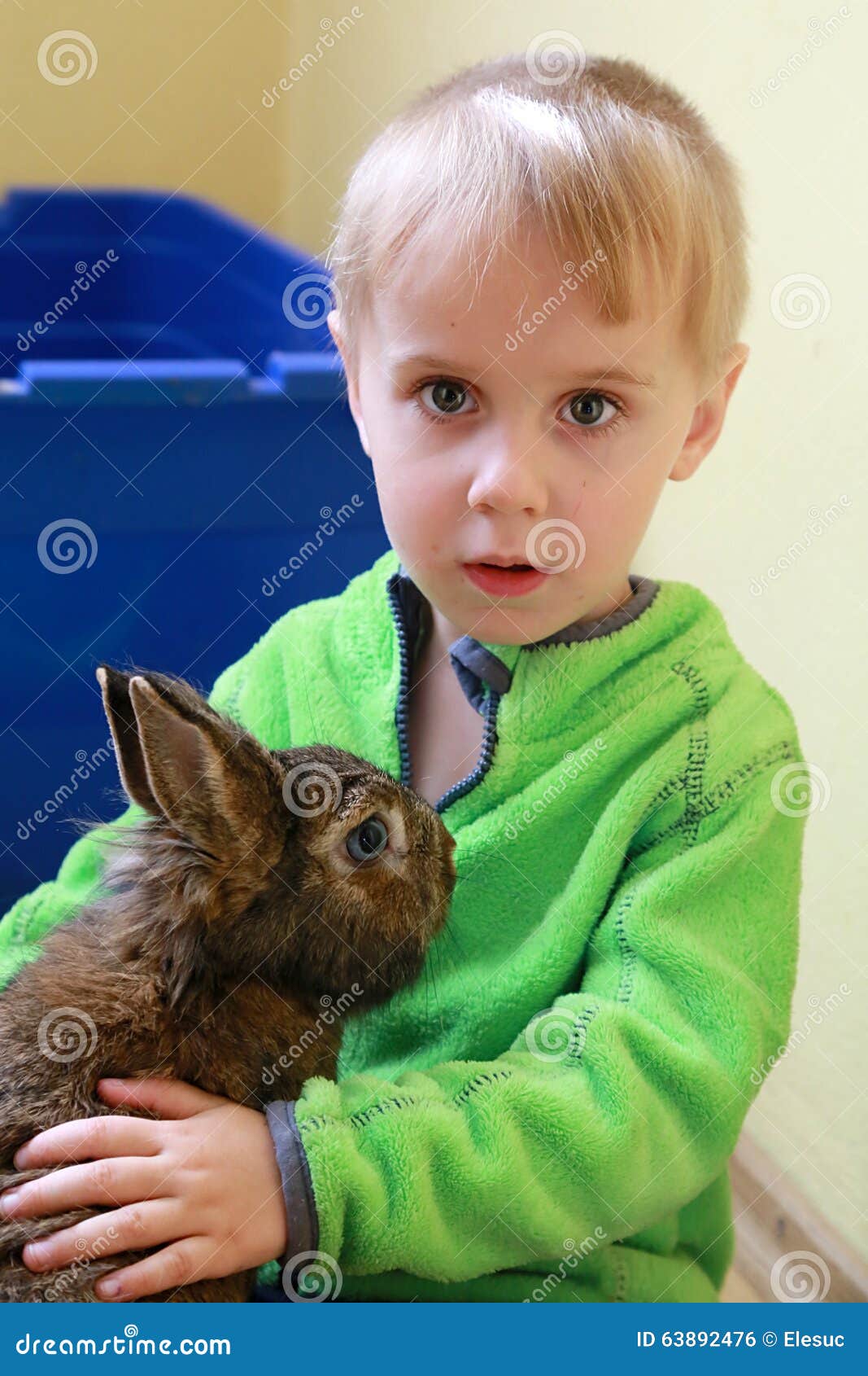 Portrait boy and rabbit stock photo. Image of looking - 63892476