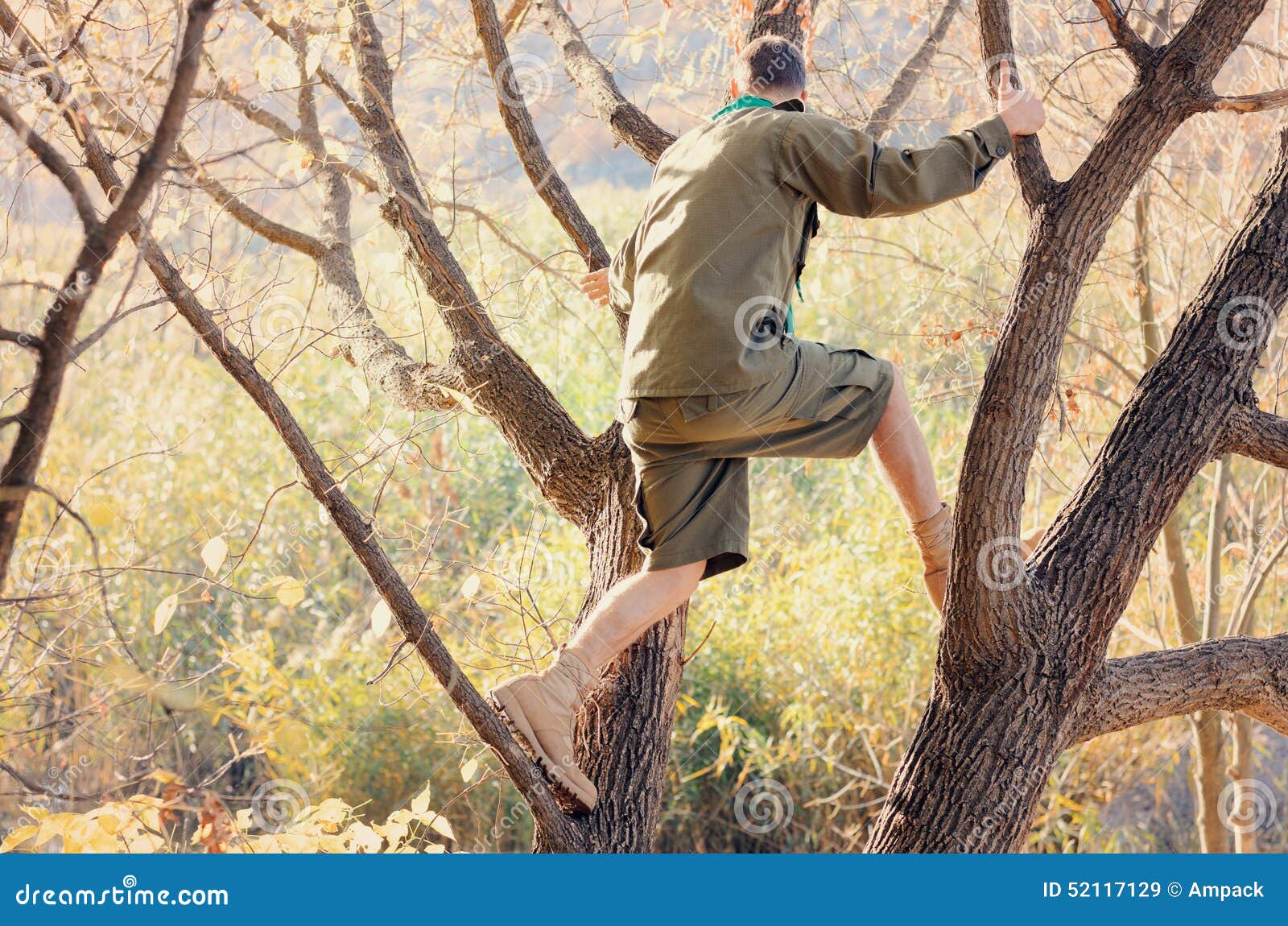 Portrait of Boy Scout Standing in Tree Stock Image - Image of teenager ...