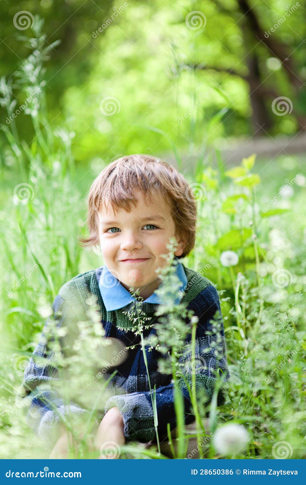 Portrait of Boy Sitting on Grass in Park Stock Photo - Image of little ...