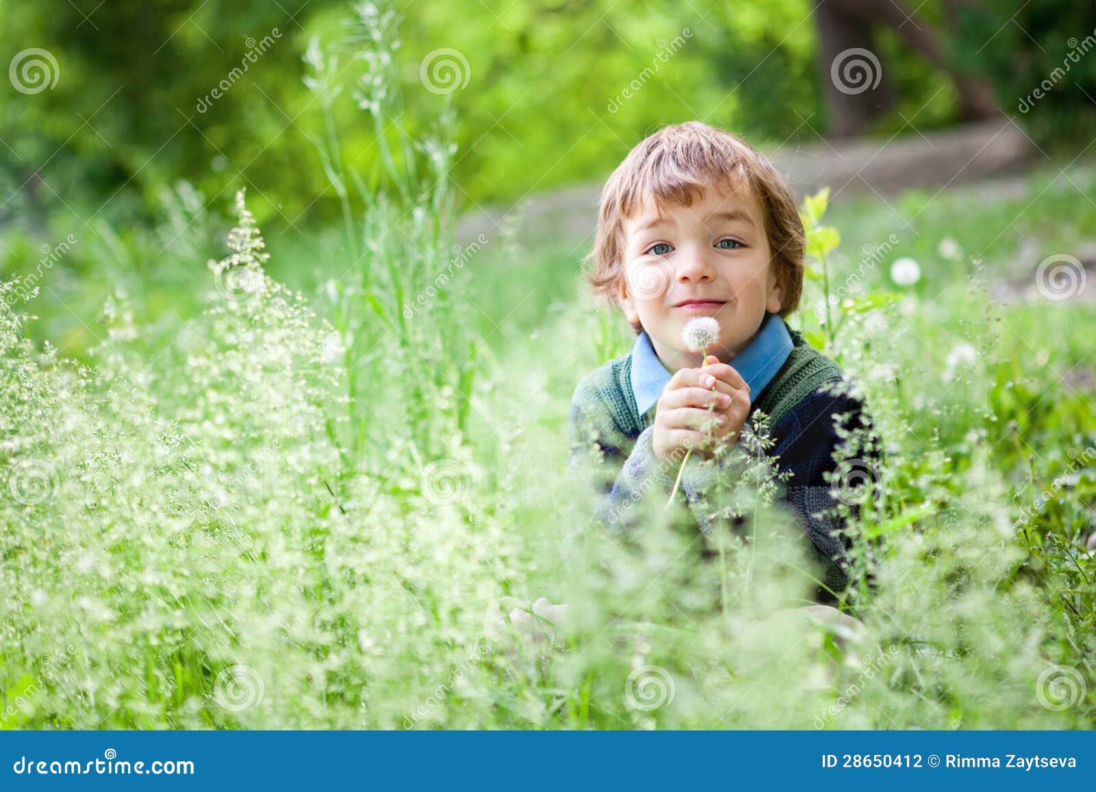 Portrait of Boy Sitting on Grass in Park Stock Photo - Image of field ...