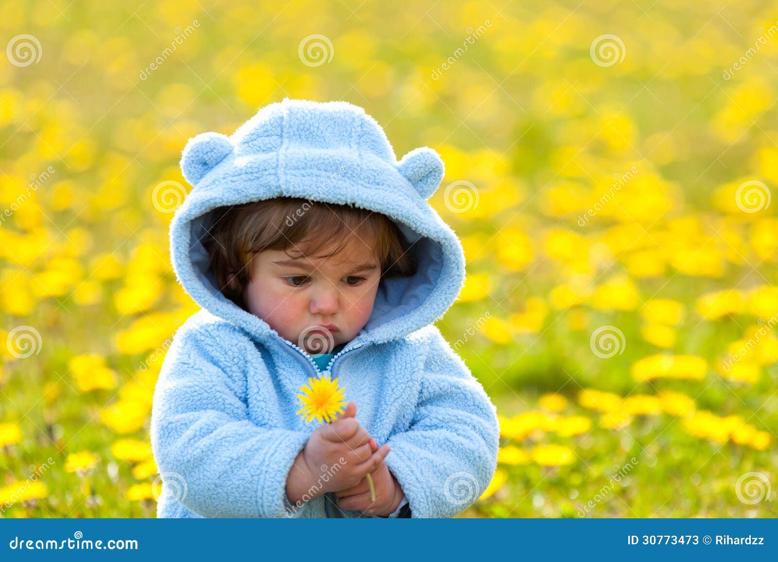 Portrait of a Boy in Spring Flowers Field Stock Image - Image of yellow ...
