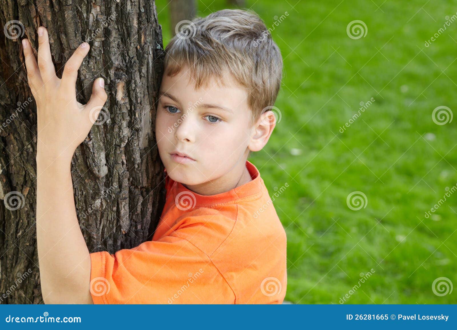 Portrait of Boy, that Stands, Embracing Tree Stock Image - Image of ...