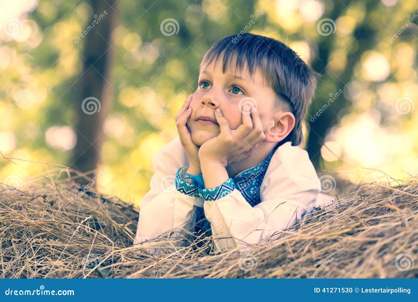 Portrait of a boy stock photo. Image of nature, grass - 41271530