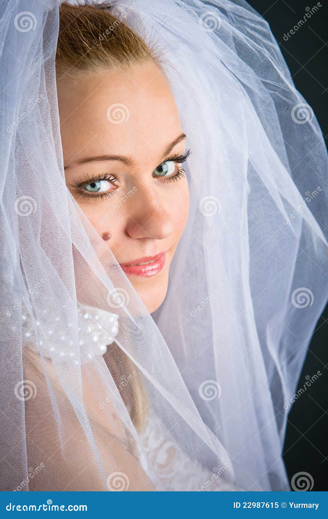 Portrait of bride stock image. Image of adult, elegance - 22987615