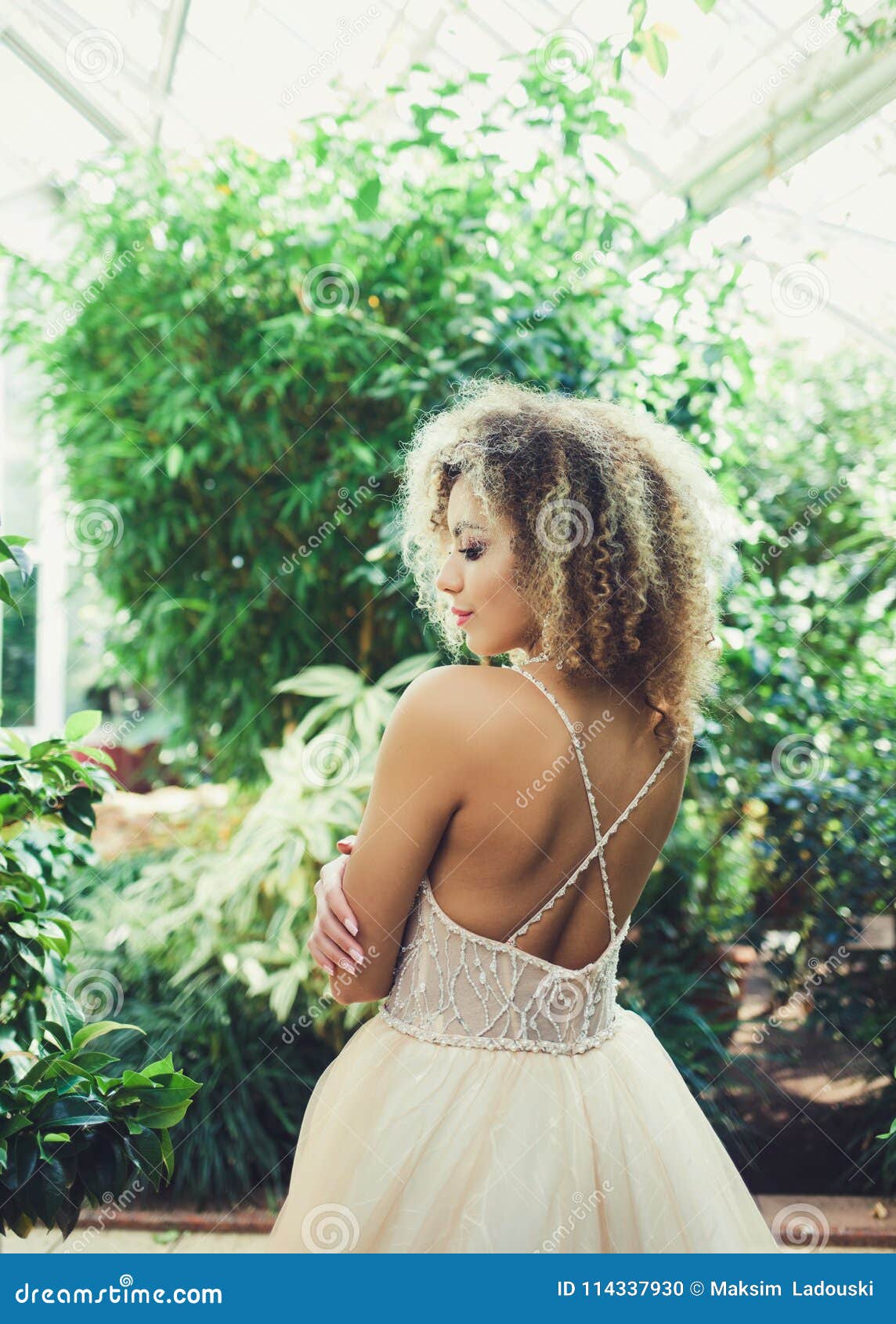 Portrait of the Bride with Her Back Stock Photo - Image of greeting ...
