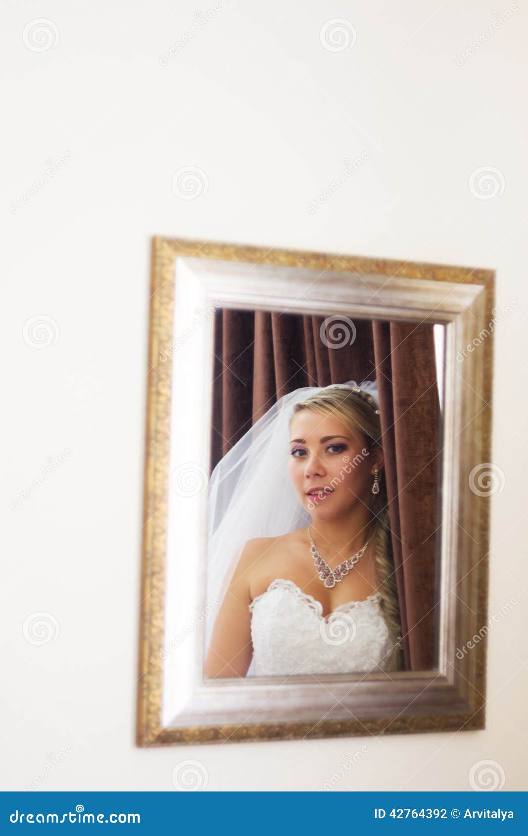 Portrait of bride stock photo. Image of light, person - 42764392