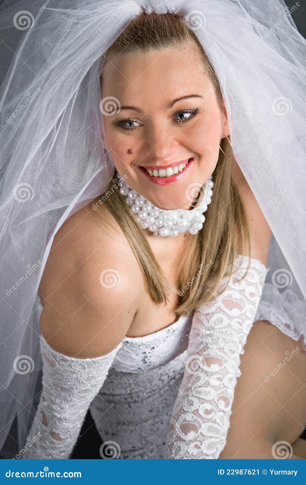 Portrait of bride smiling stock image. Image of happiness - 22987621
