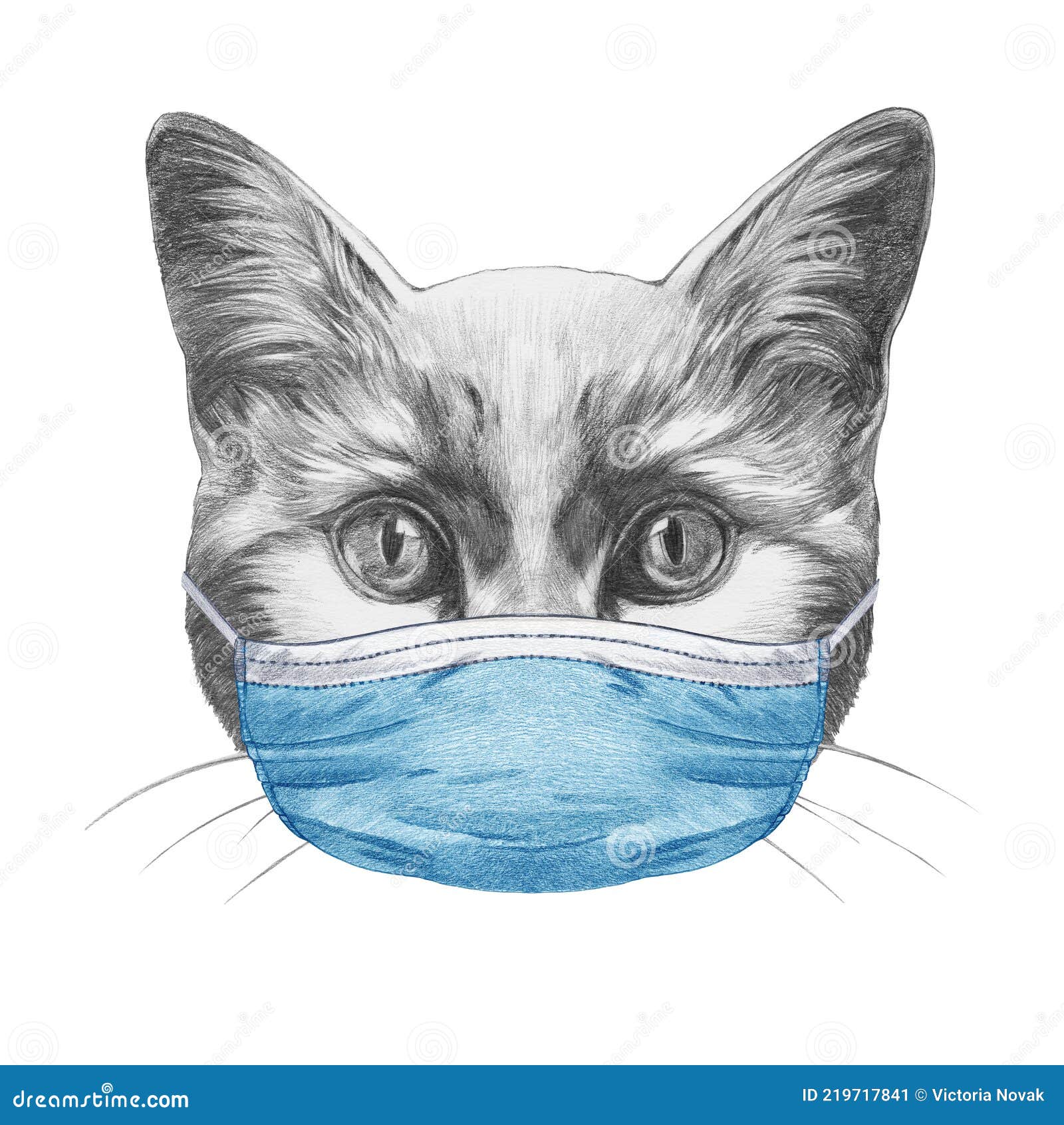 Portrait of British Shorthair Cat with Face Mask. Hand-drawn ...