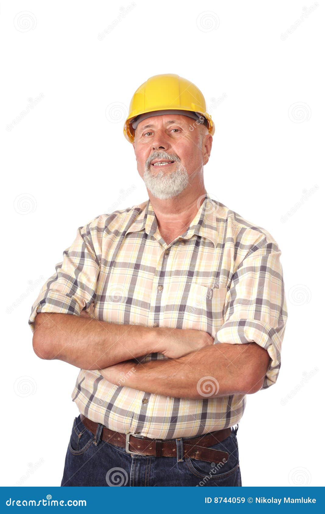 Portrait of a builder stock image. Image of engineer, people - 8744059