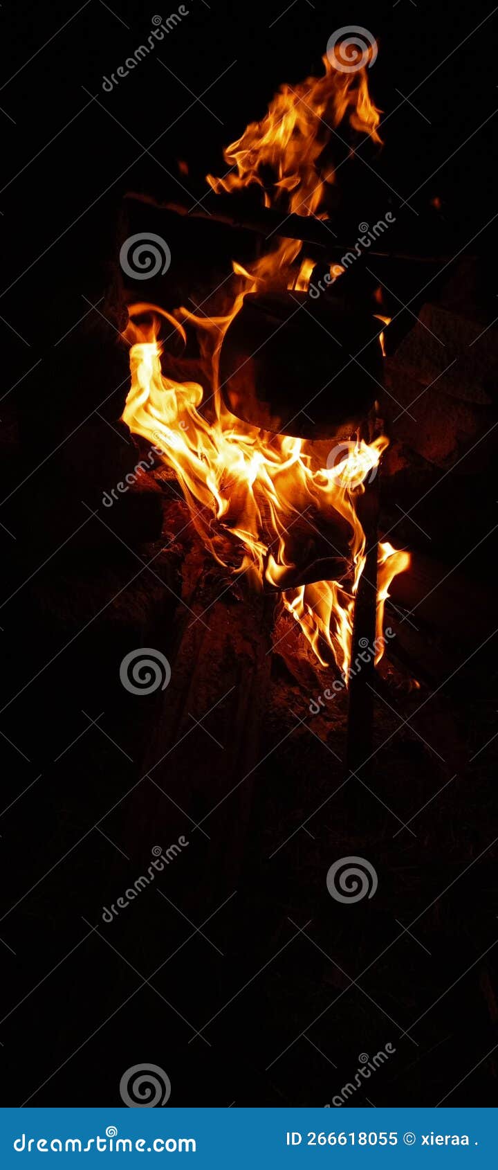 Cool burning fire stock image. Image of lighting, bonfire - 266618055