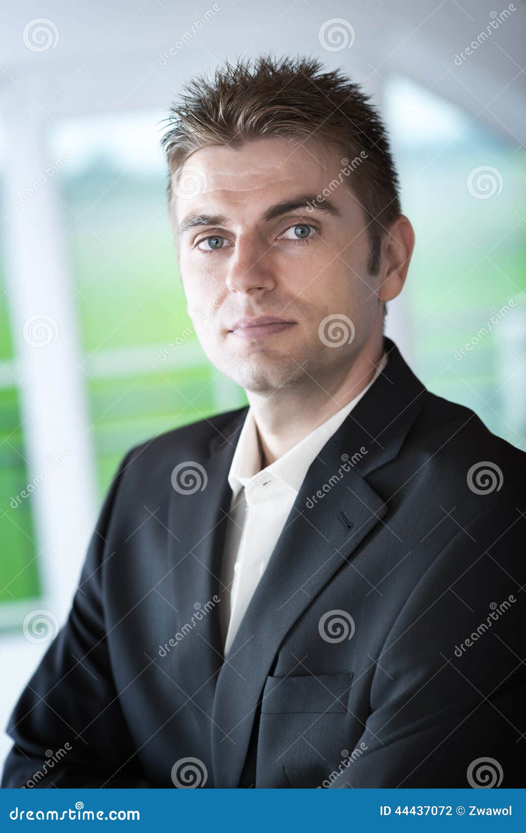Portrait Business man stock photo. Image of manager, company - 44437072