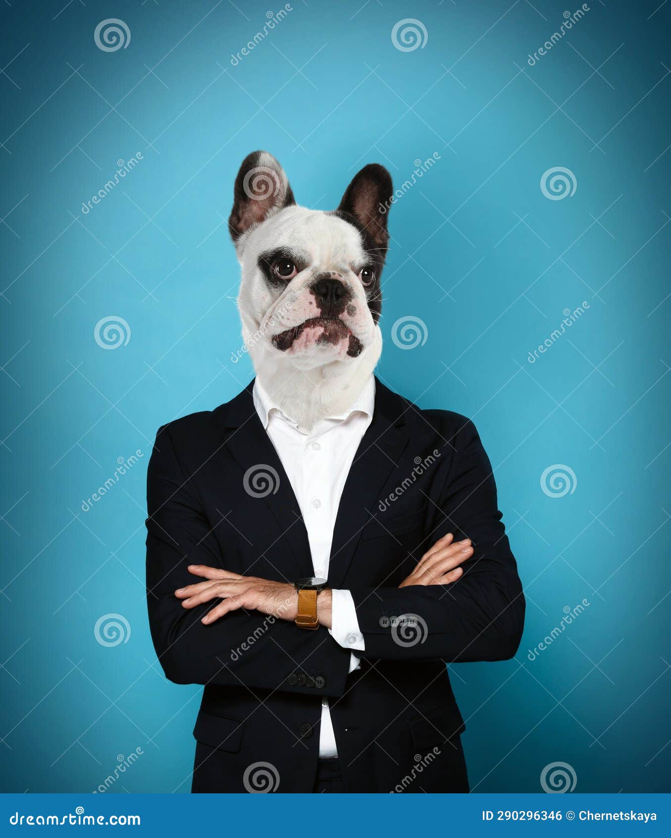 Portrait of Businessman with Dog Face on Light Blue Gradient Background ...