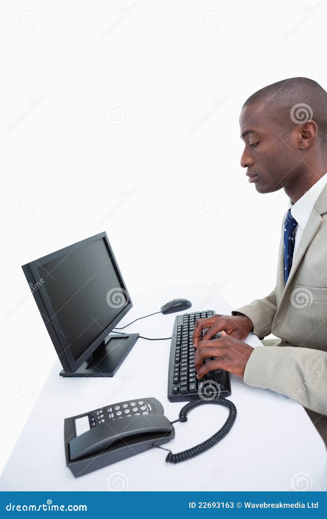 Portrait of a Businessman Using a Computer Stock Image - Image of chief ...