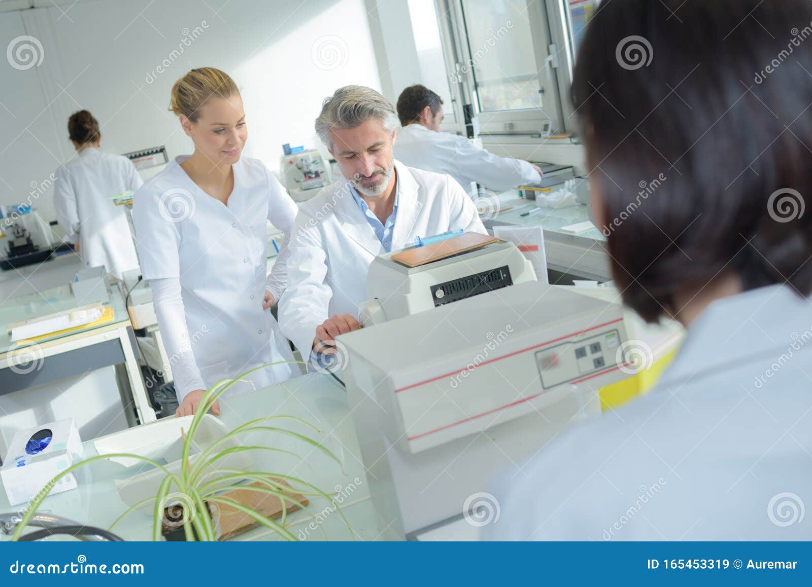 Portrait busy laboratory stock image. Image of analysis - 165453319