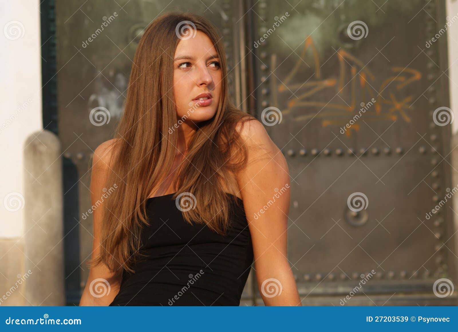 Portrait of a calm woman stock image. Image of adult - 27203539
