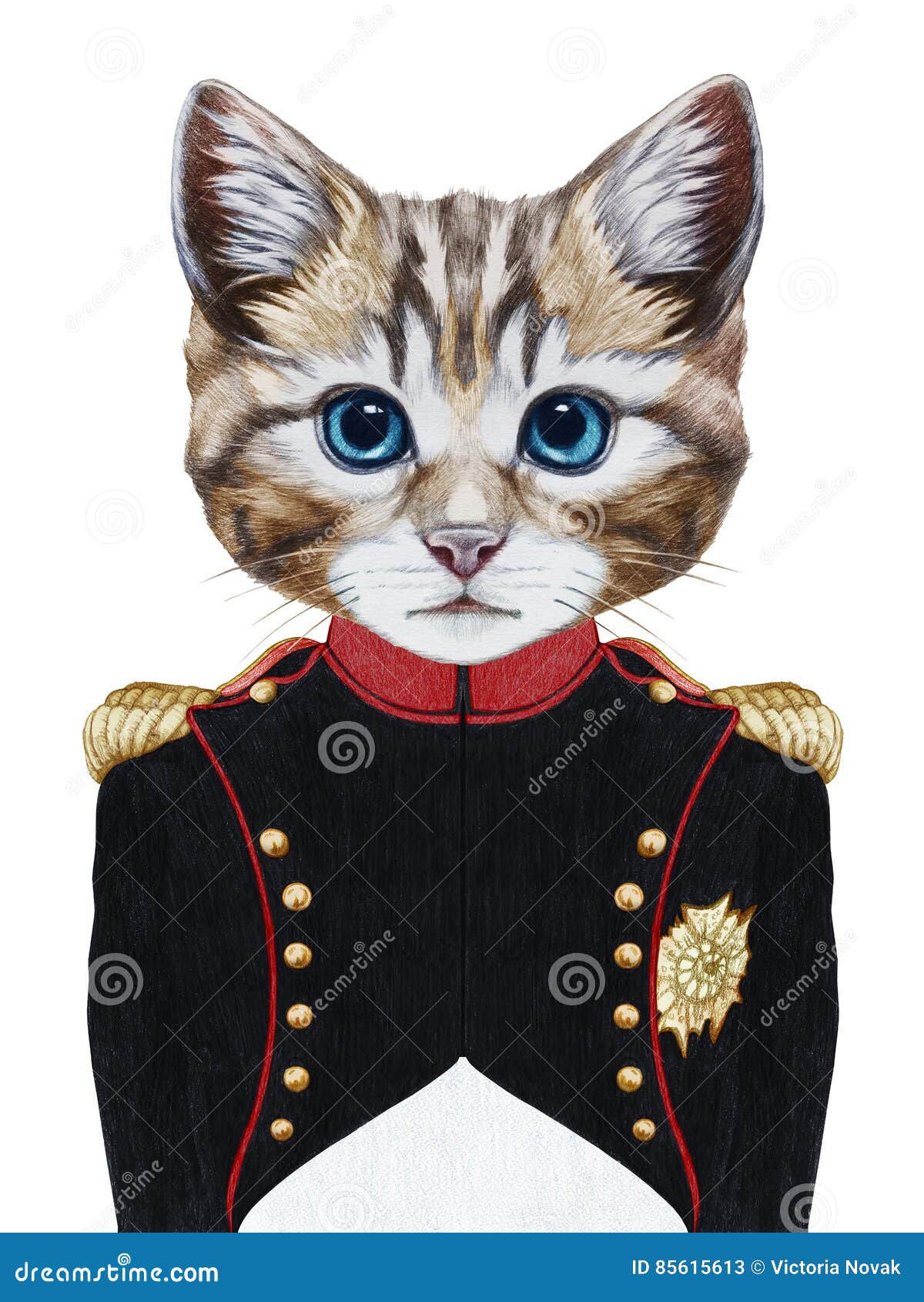 Military Uniform With High Officer Rank Insignia Vector Illustration ...