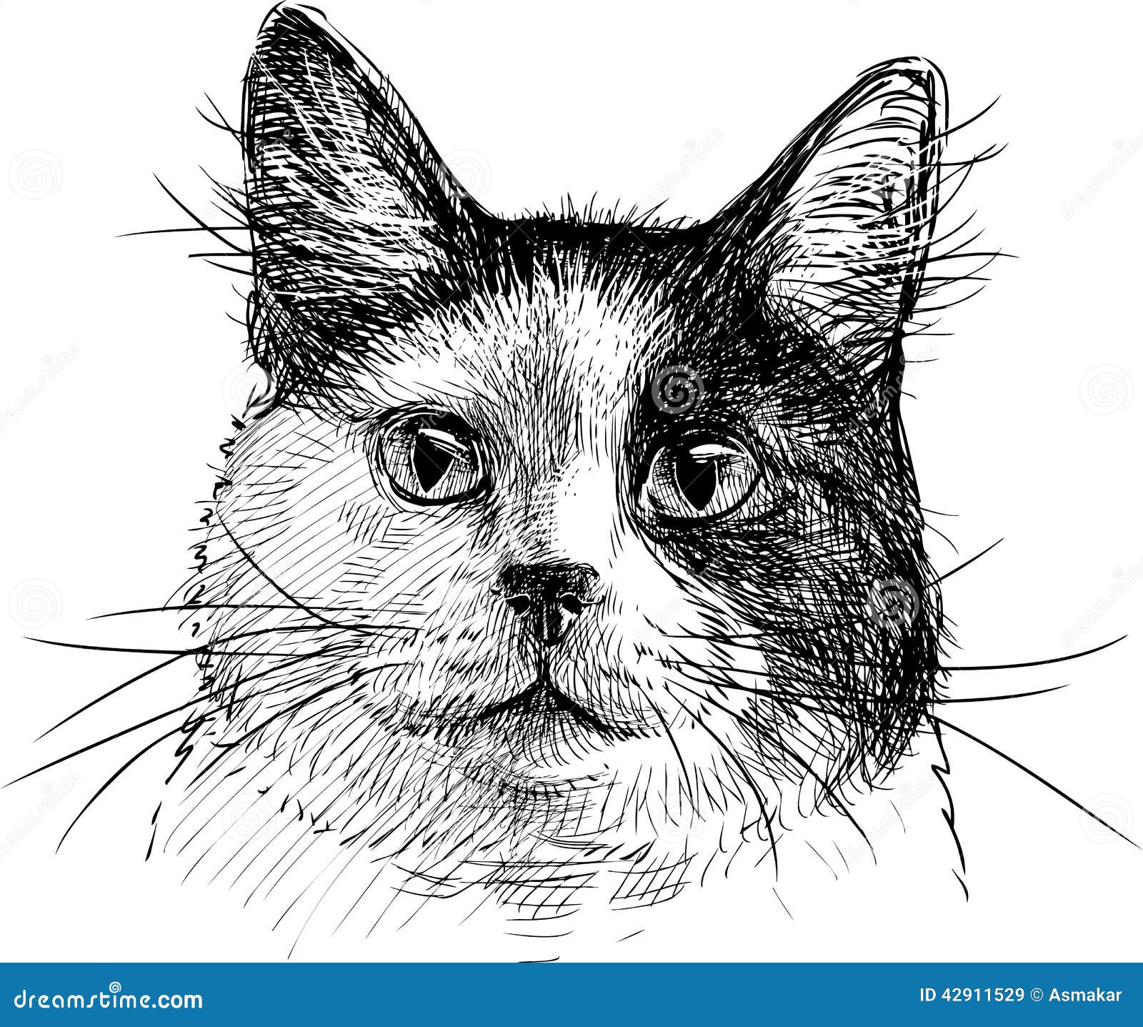 Portrait of a cat stock vector. Illustration of cute - 42911529