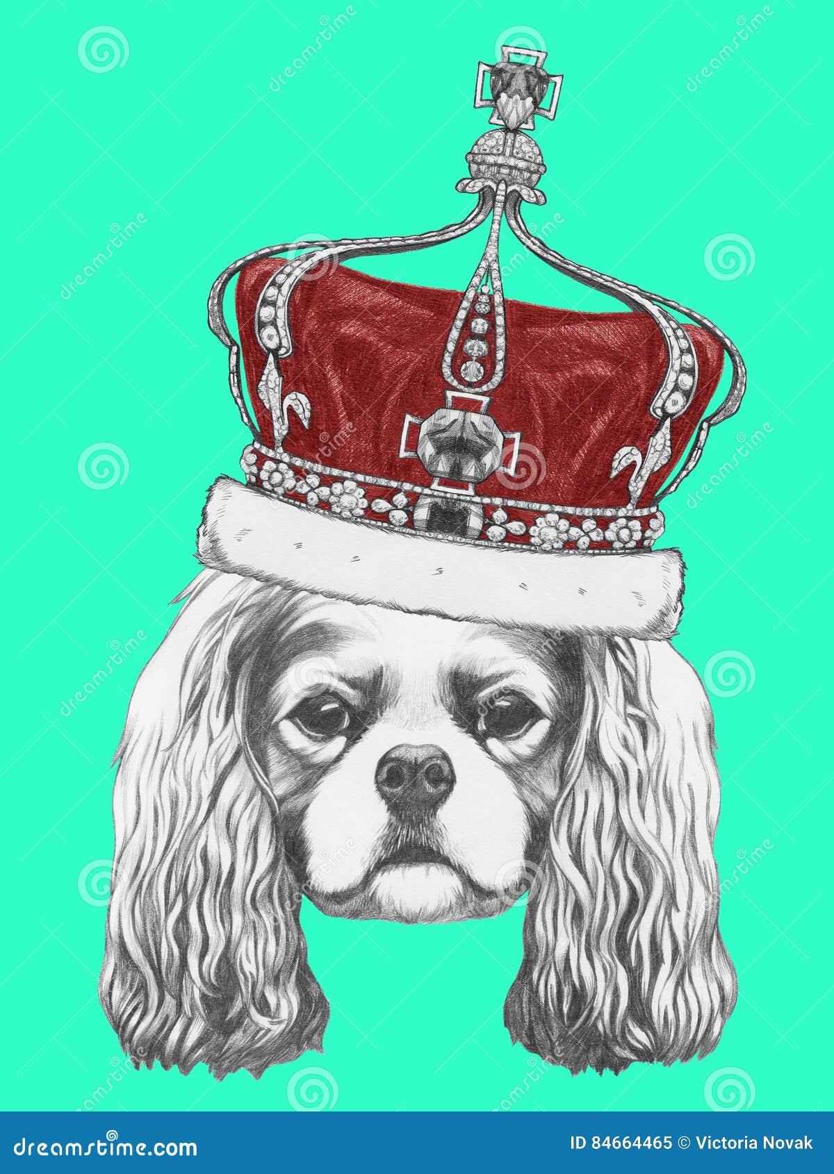 Portrait Of Cavalier King Charles Spaniel With Crown. Stock ...
