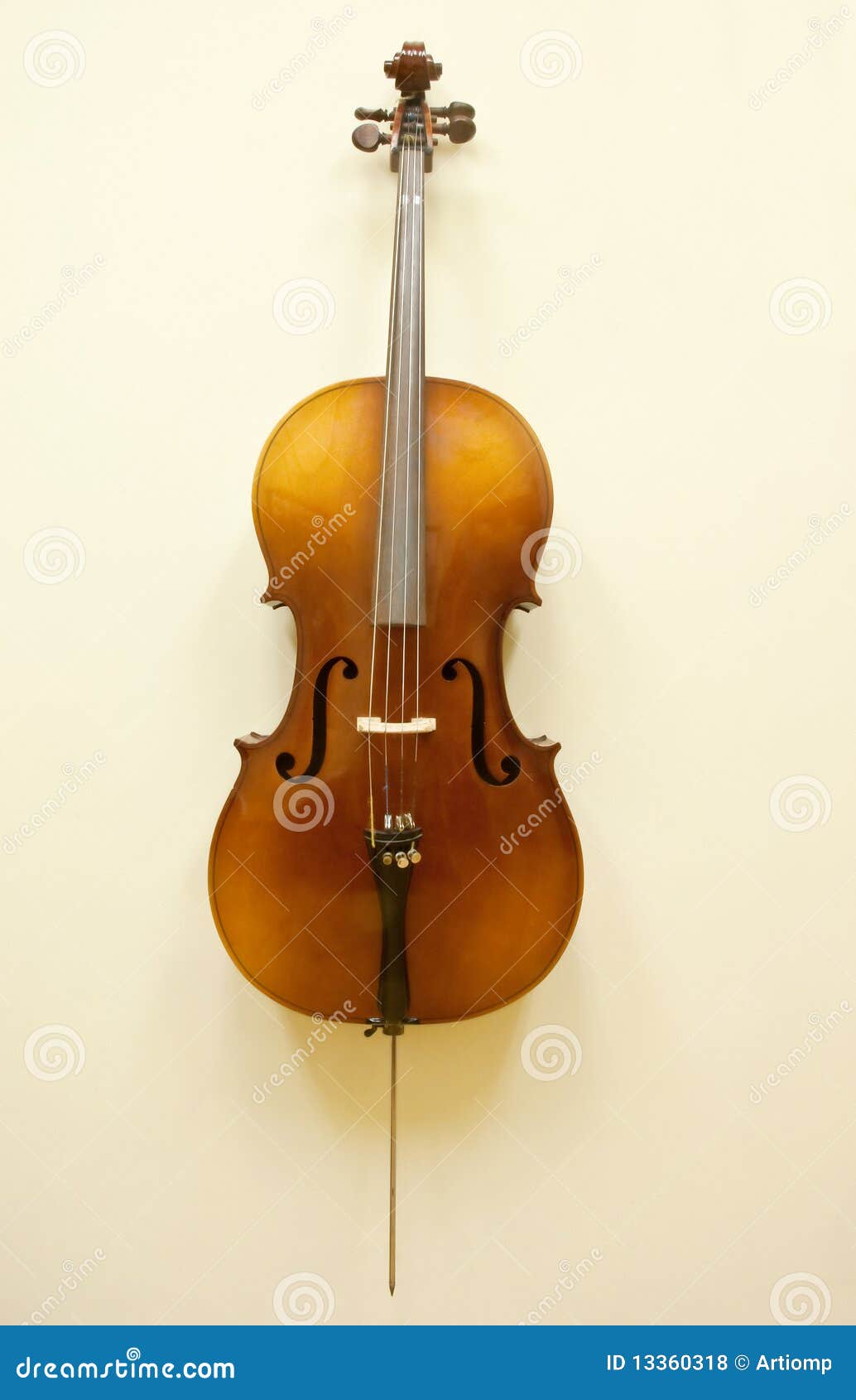 Portrait of a cello stock photo. Image of stringed, popular - 13360318