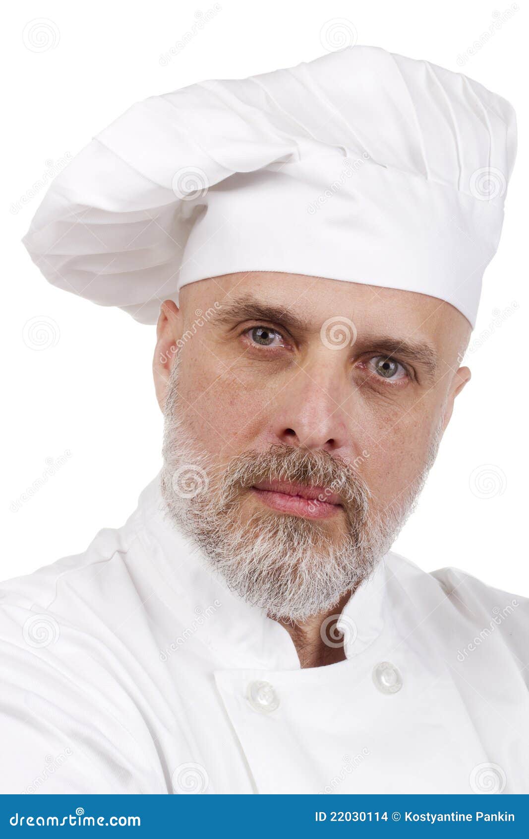 Portrait of a Chef stock photo. Image of isolated, attire - 22030114