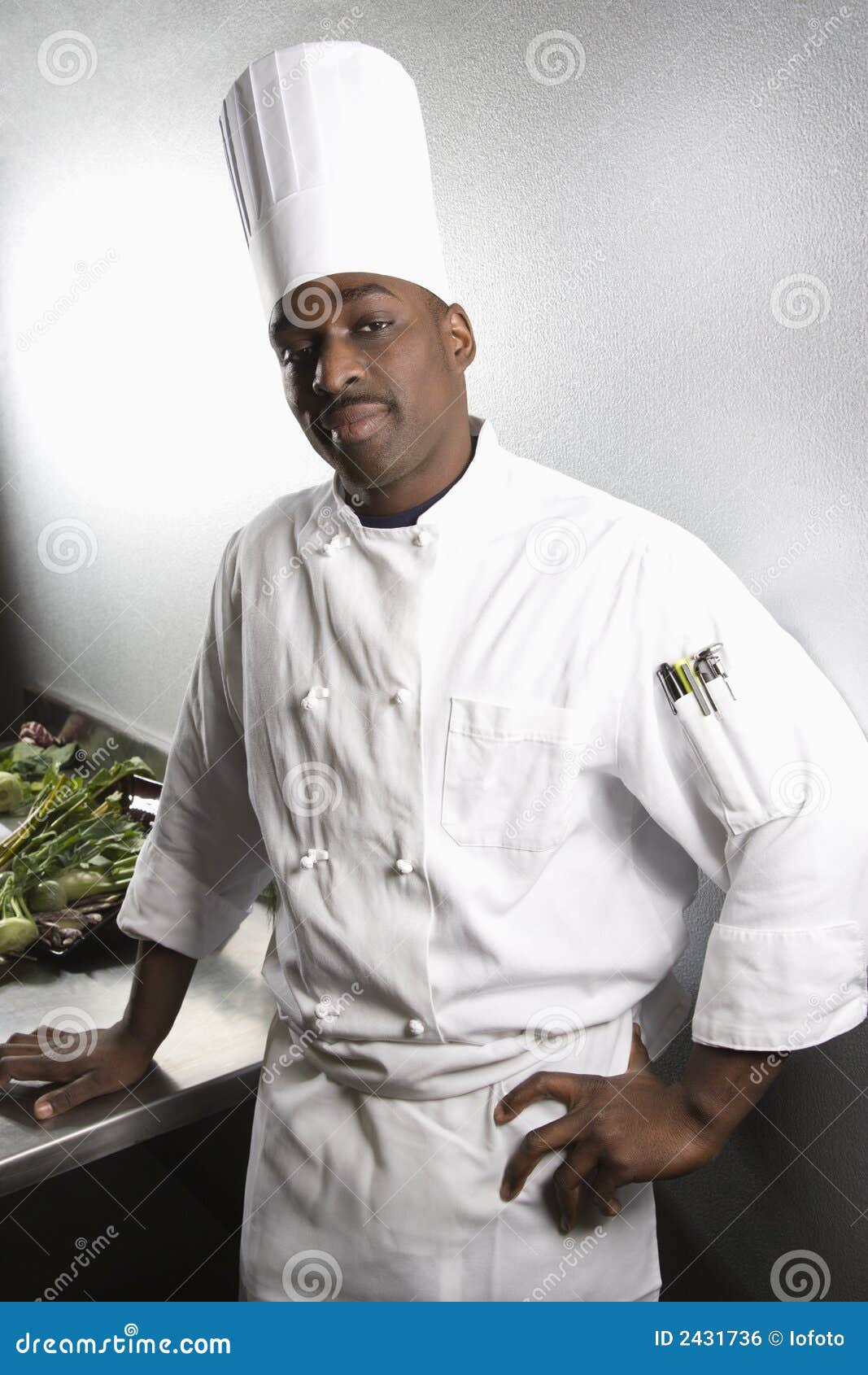 Portrait of chef. stock photo. Image of 070123a0126, color - 2431736