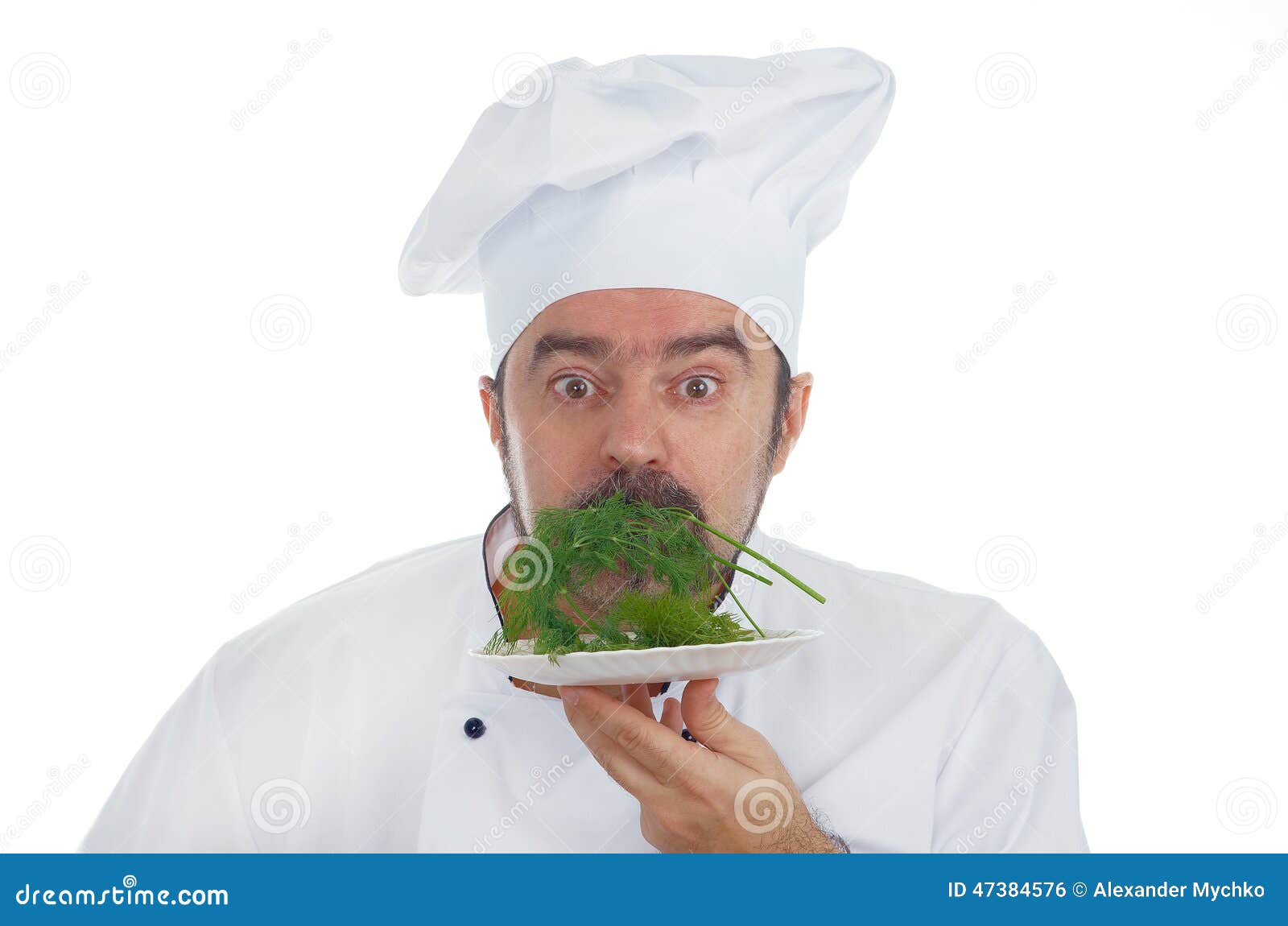 Portrait of chief cook stock photo. Image of culinary - 47384576