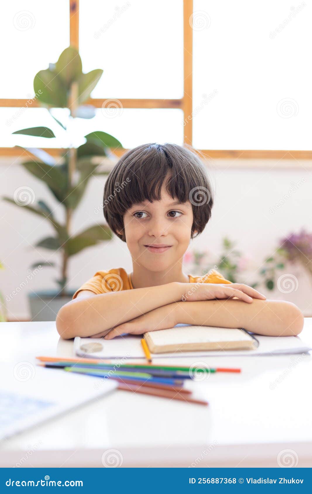Portrait of a Child in the Classroom Stock Photo - Image of distance ...