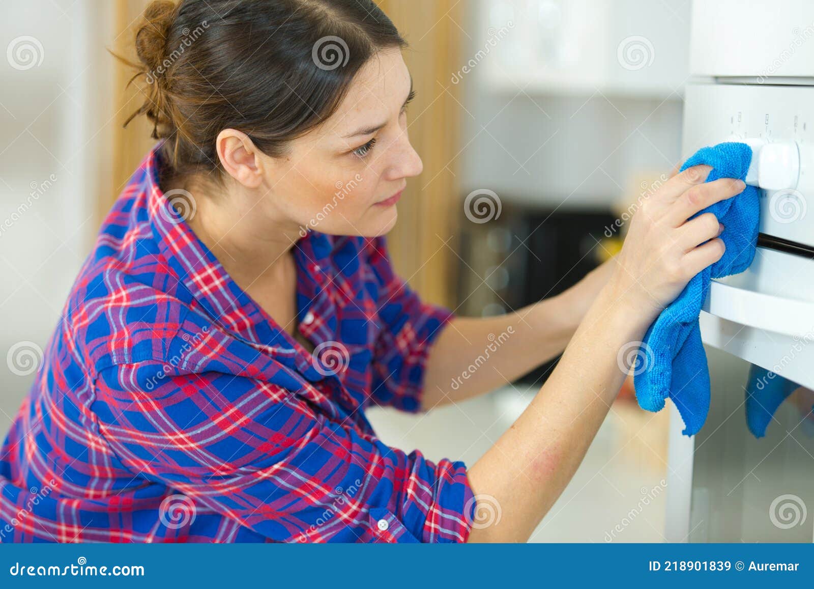 Portrait Cleaning Lady Cleaning Oven Stock Image - Image of electronics ...